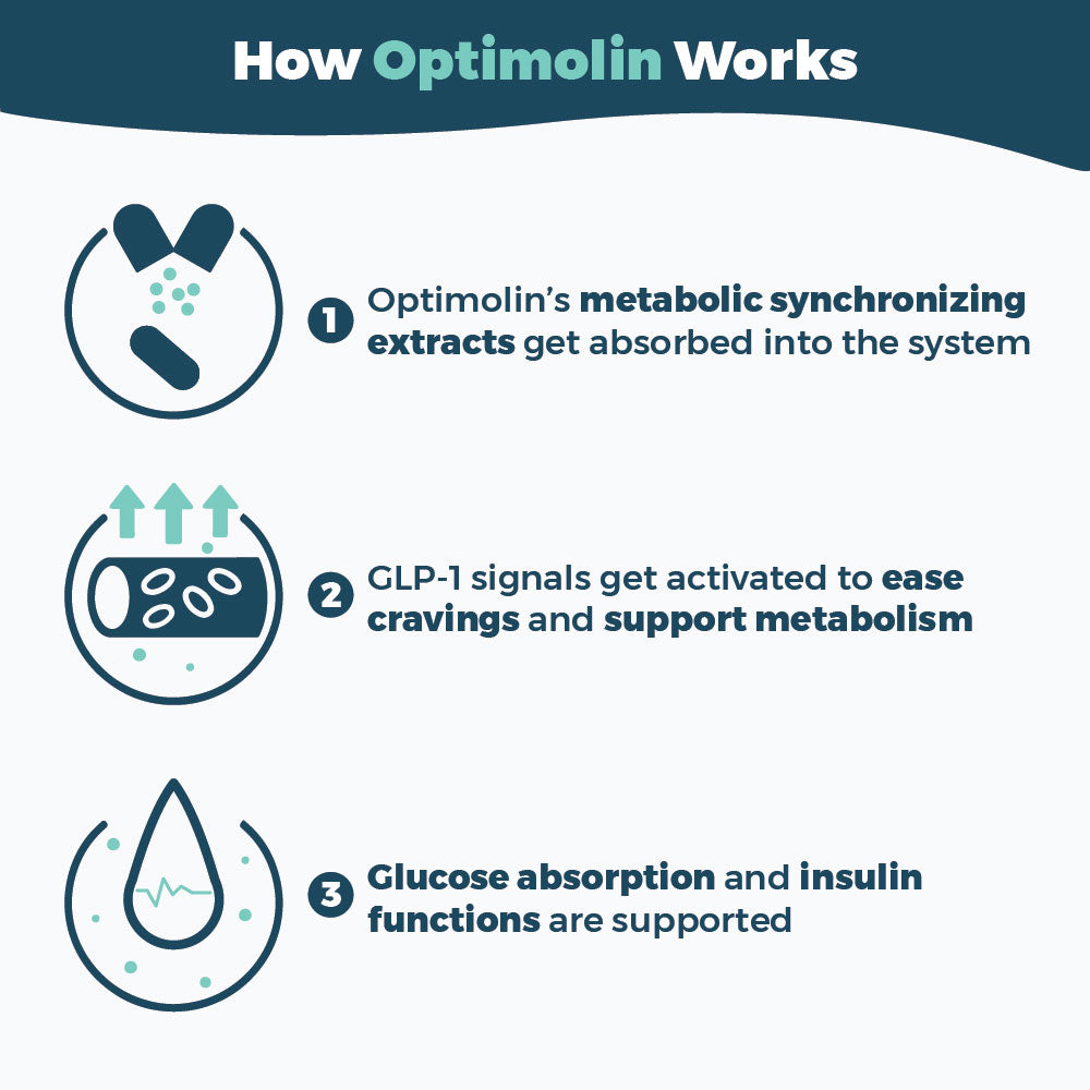Optimolin | Blood Sugar Balance, Cravings Control, Energy – Eden Boost